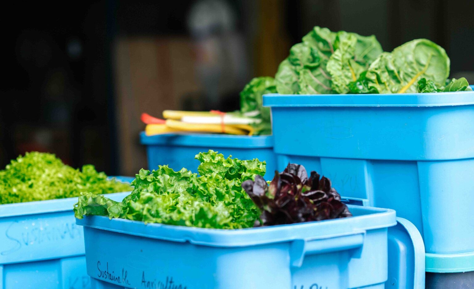Richmond Food Bank Society | Food Donations
